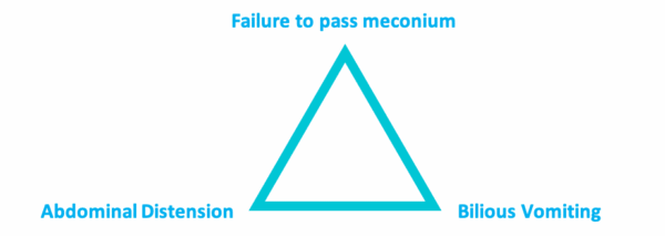 Hirschsprung's disease - Pathophysiology - TeachMePaediatrics