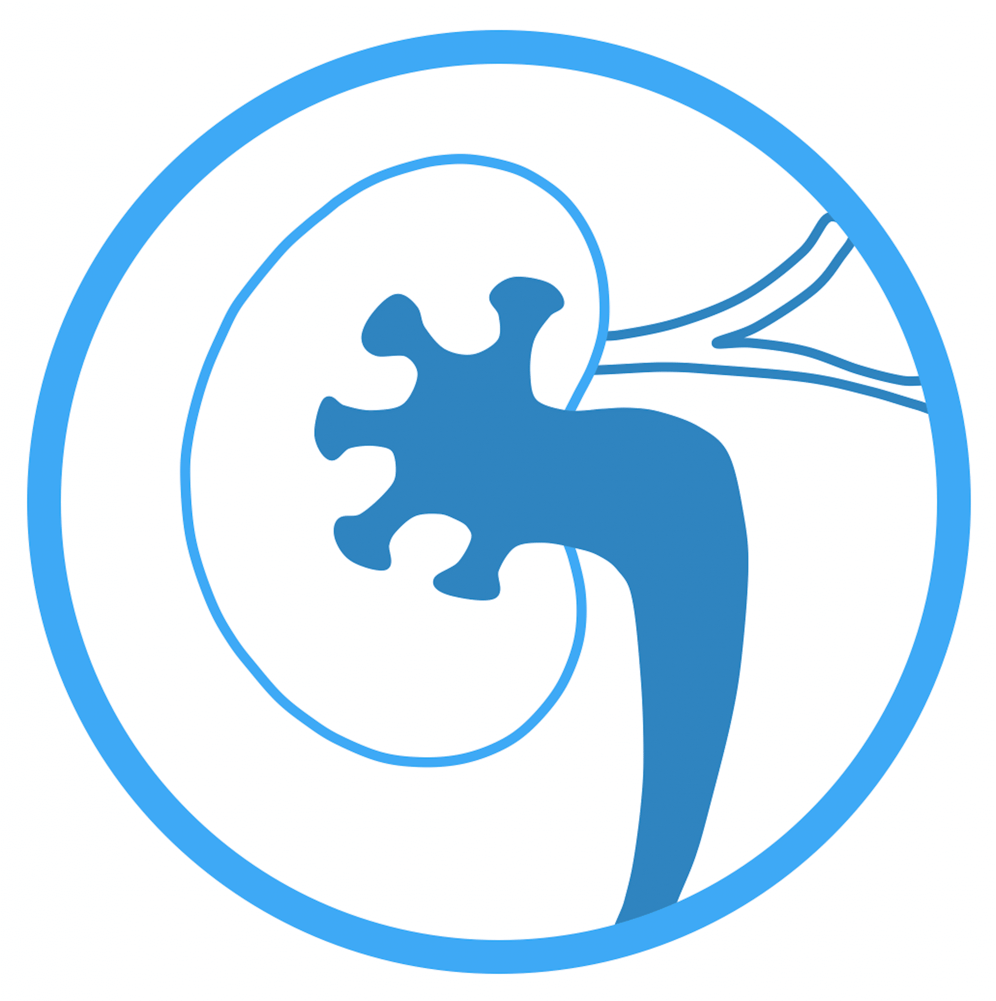 Nephrology - TeachMePaediatrics