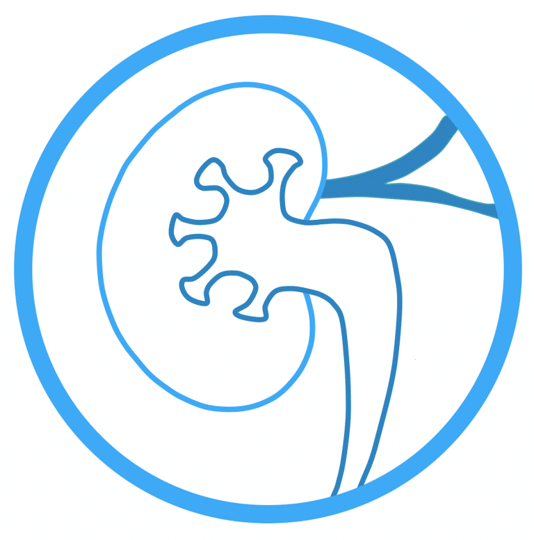 nephrology-teachmepaediatrics